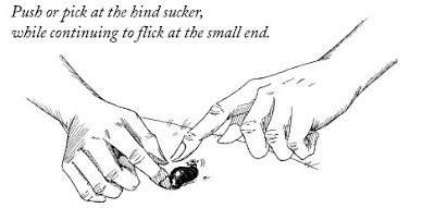 survival kit: How to Remove a Leech