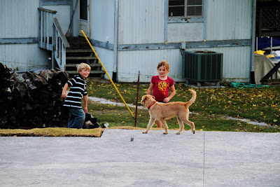 Life with a BQ: dog chasing kids or .. kids chasing dog