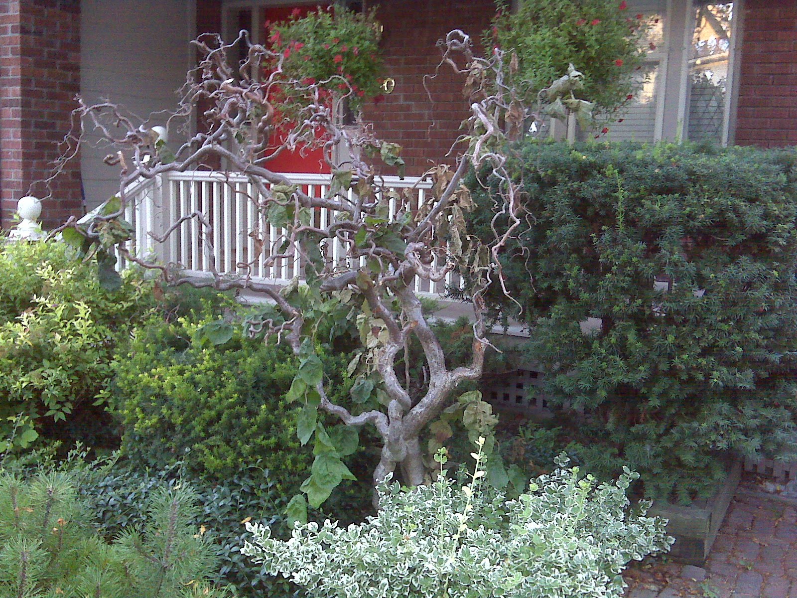 Fickle Feline: adventure in the beach.