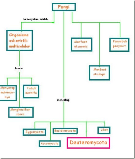 Jamur | We ♥ Biology
