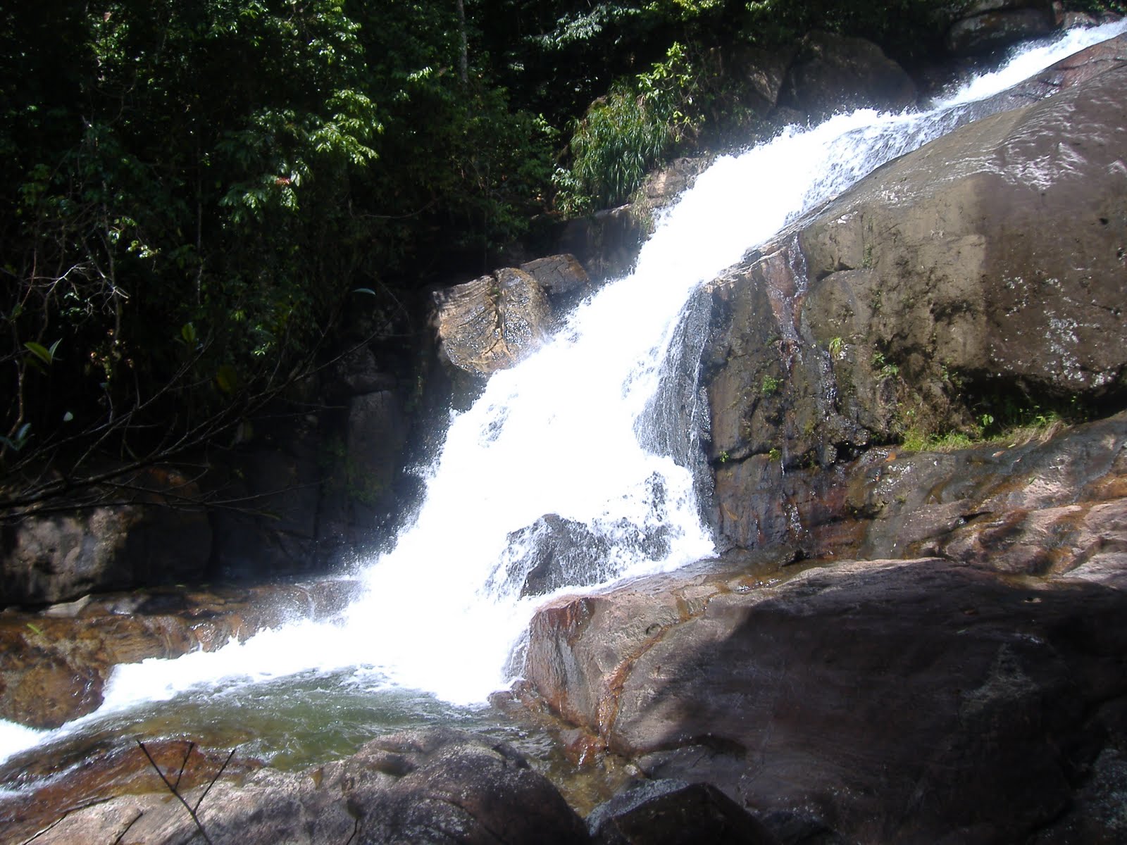 Kannaliya Rain Forest: Kanneliya Water Falls