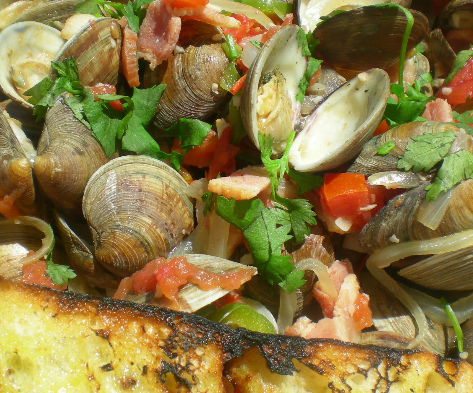 Greg's World on a Plate: Clams My Way