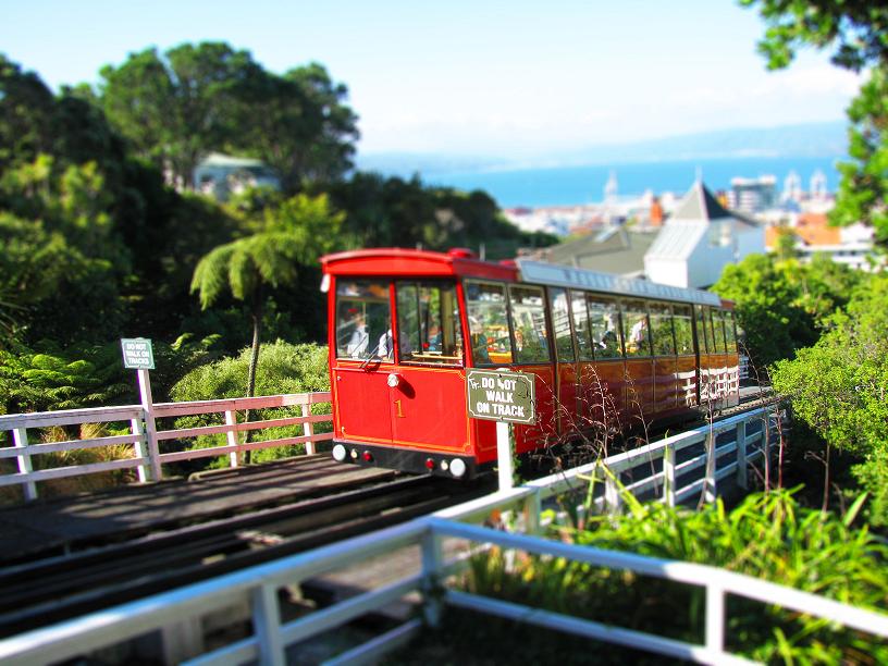 Snickerdoodle Creations: Project #23 - Tilt scale photography