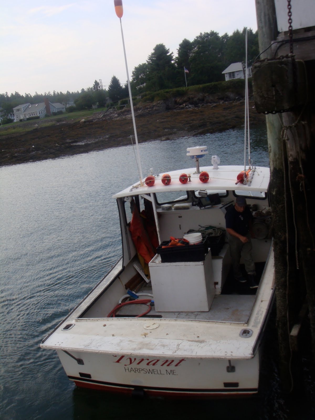 The Good House: lobstering: part 1