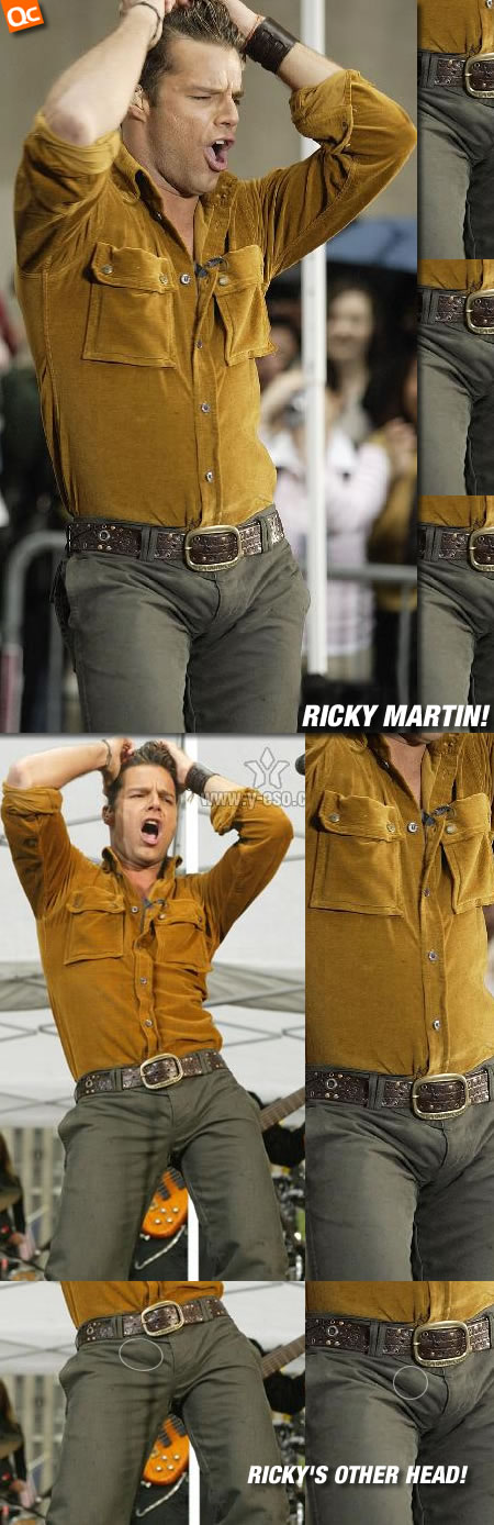 Artastic Avenjer: Ricky Martin: Out and Proud