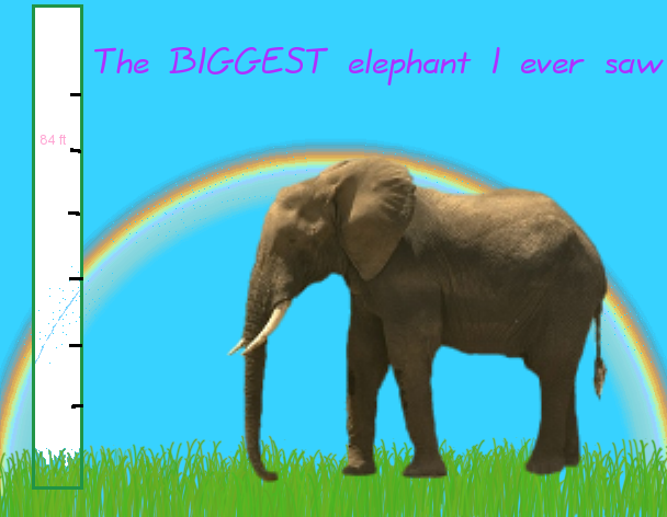 Everything Kayla: The Biggest Elephant I Ever Saw