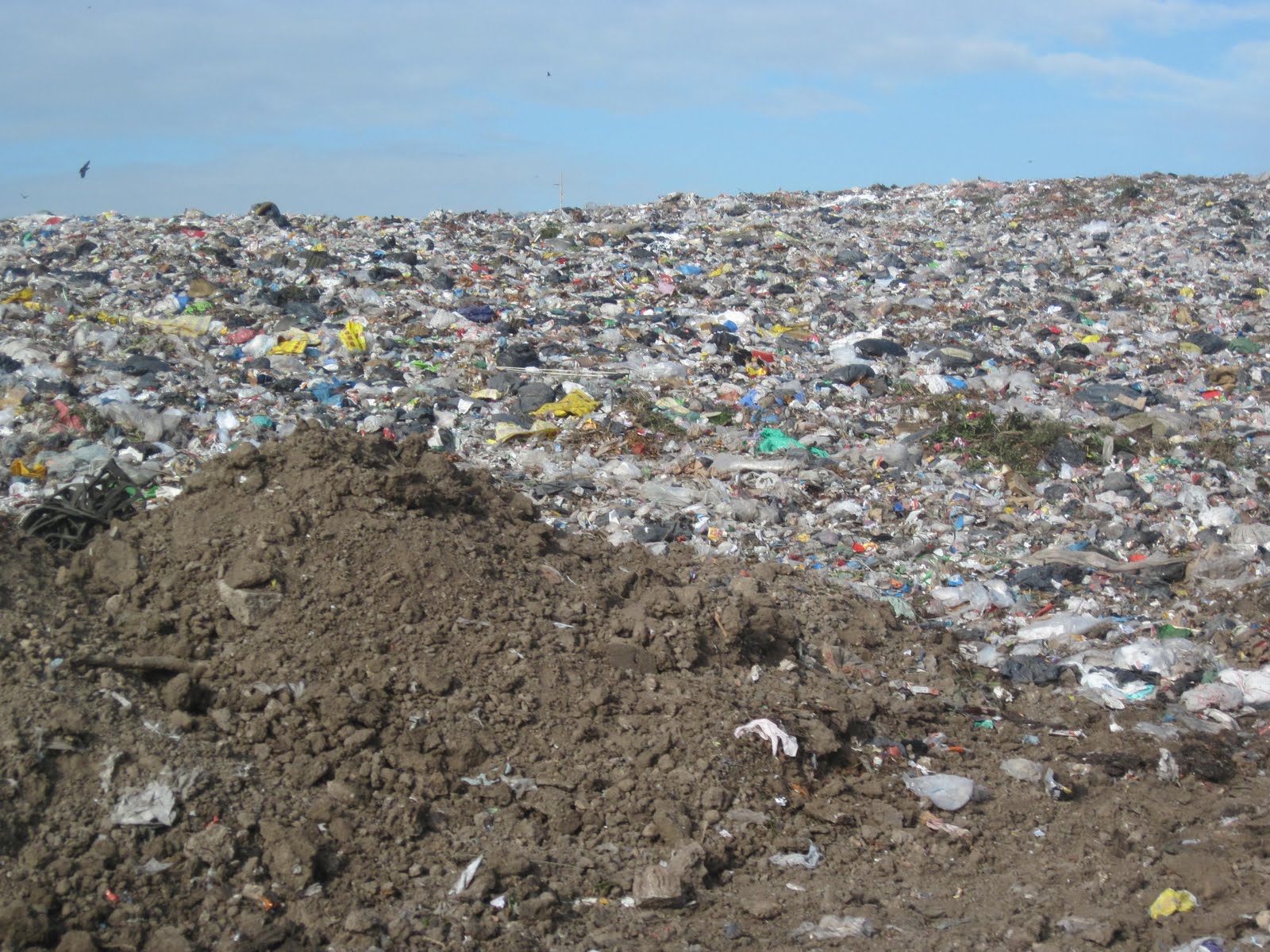 CAS Proyect: Salida CAS: Ceamse