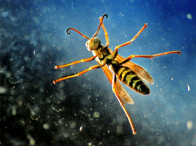 Unique Animals blogs: Amazing Photography Contest Galleries PIctures ...