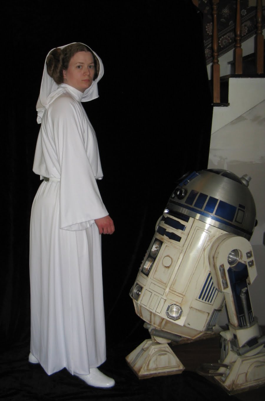 Costumes and Artwork: ANH Leia Senatorial Gown
