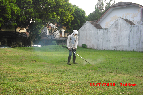 Perawatan Lingkungan: Cara Merawat Rumput Taman