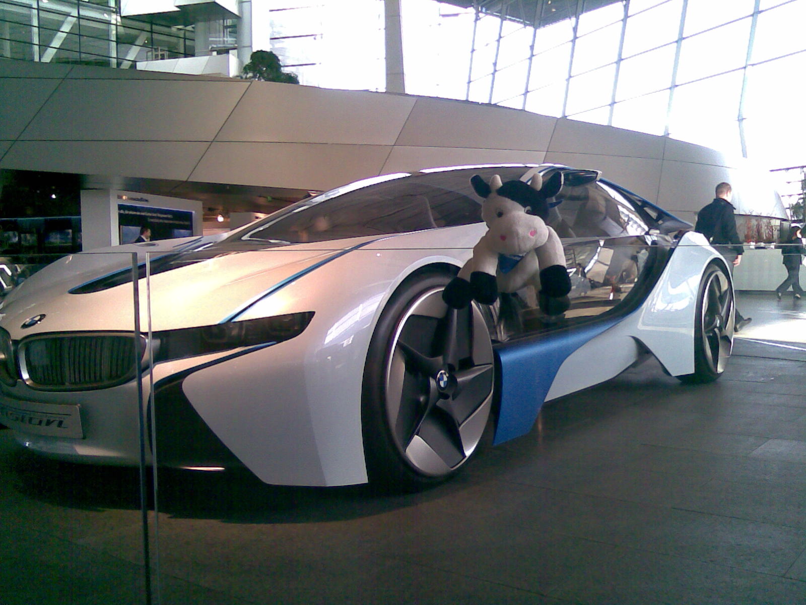 ELSA - Frisches aus dem Alltag einer IT-Beraterin: 17. November ...