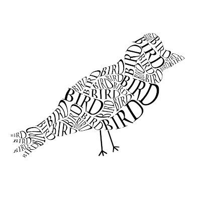 DAK Portfolio: Bird Representation