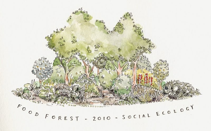 Artist as Family: Drawing the Food Forest into being