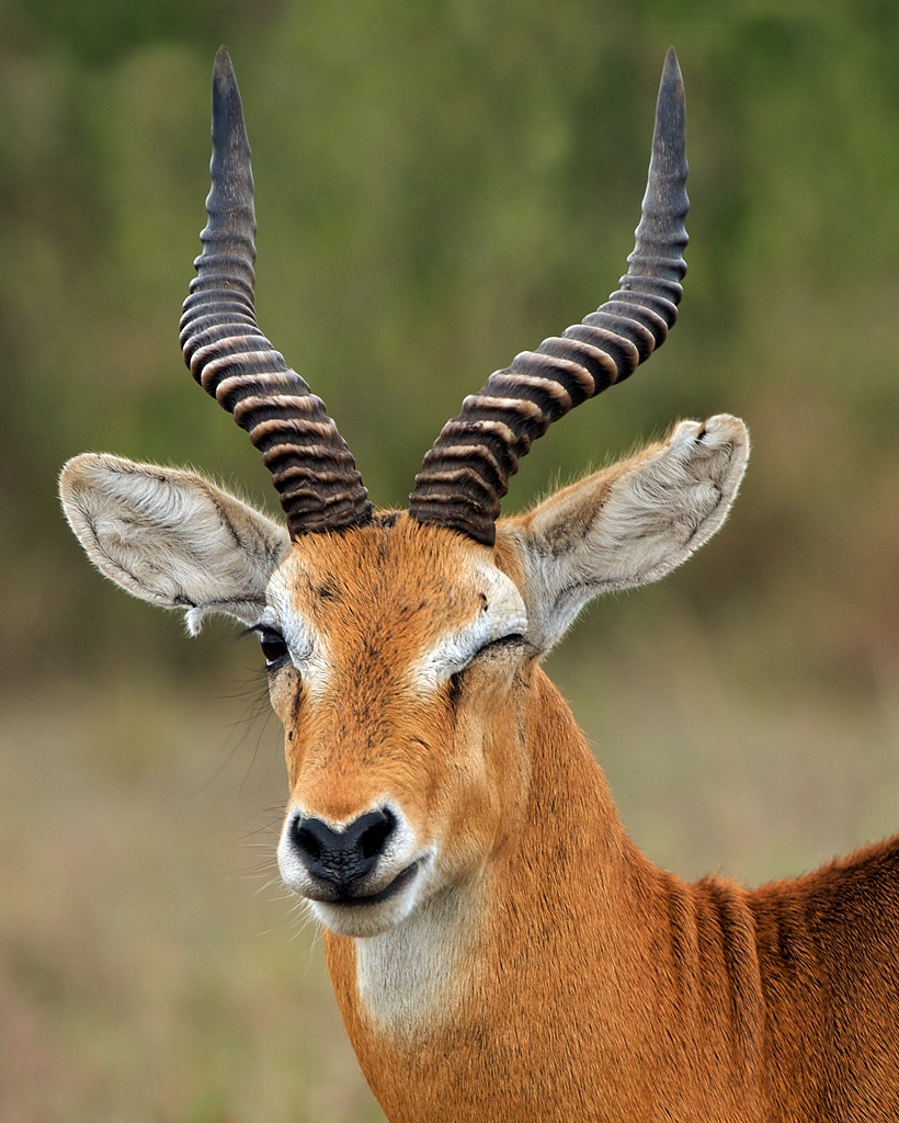 Wonderland: Natural Beauty Of The World