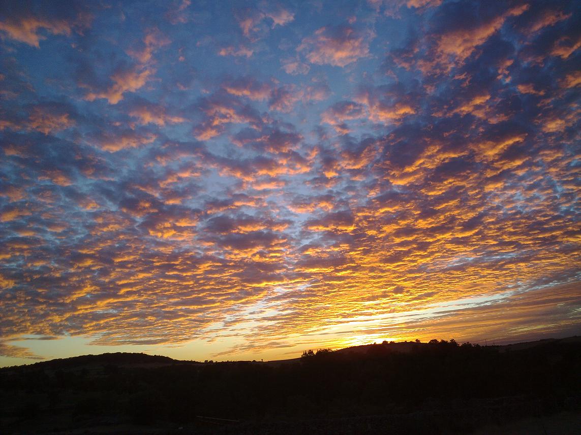 Directo Zarza: Arreboles de la tarde