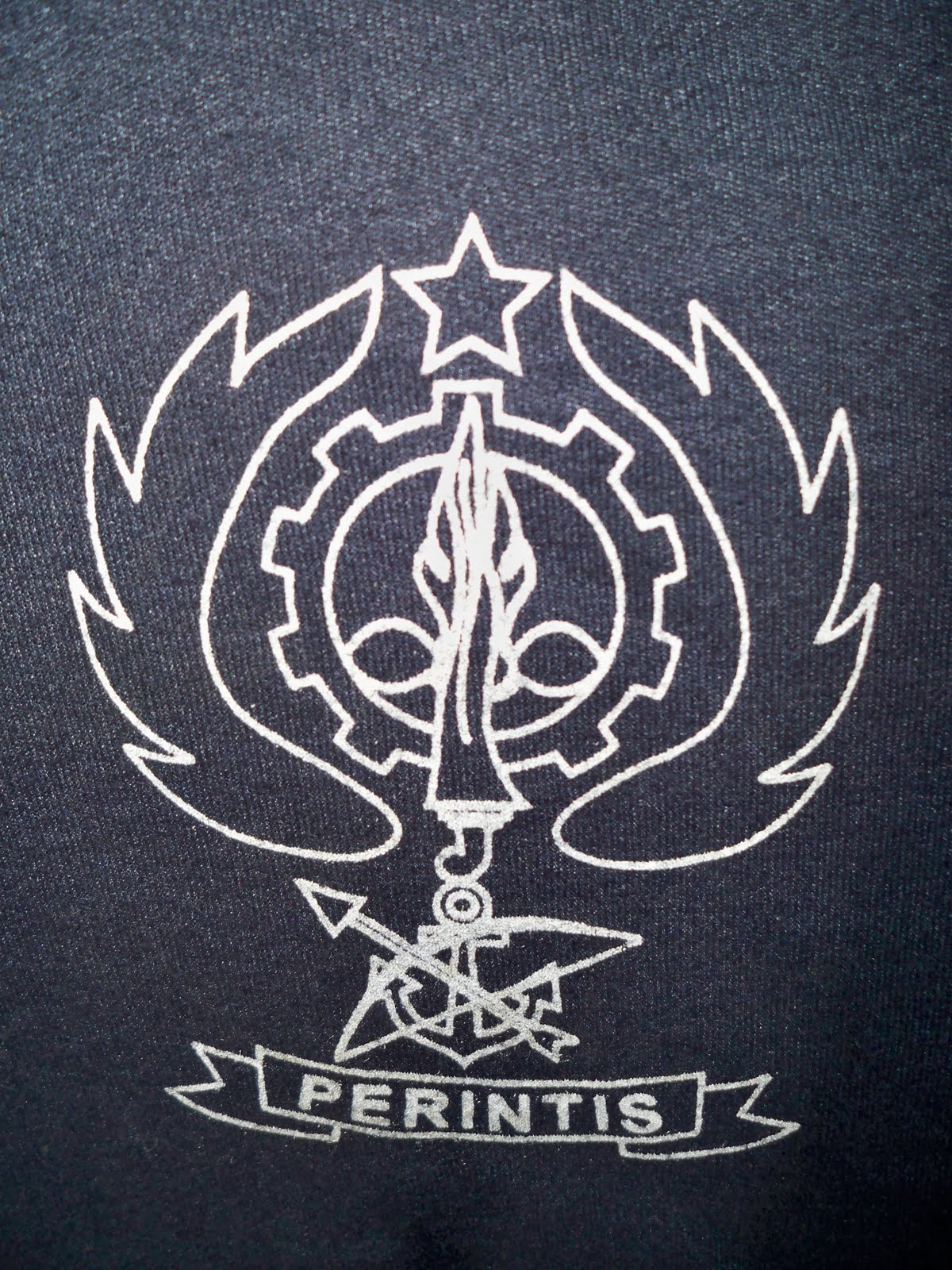 PERINTIS - SMANIC: About Perintis