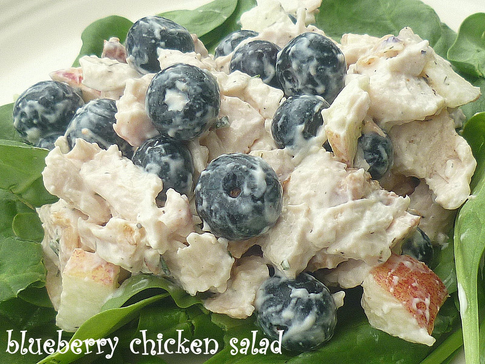 Blueberry Chicken Salad - Sprinkled with Flour