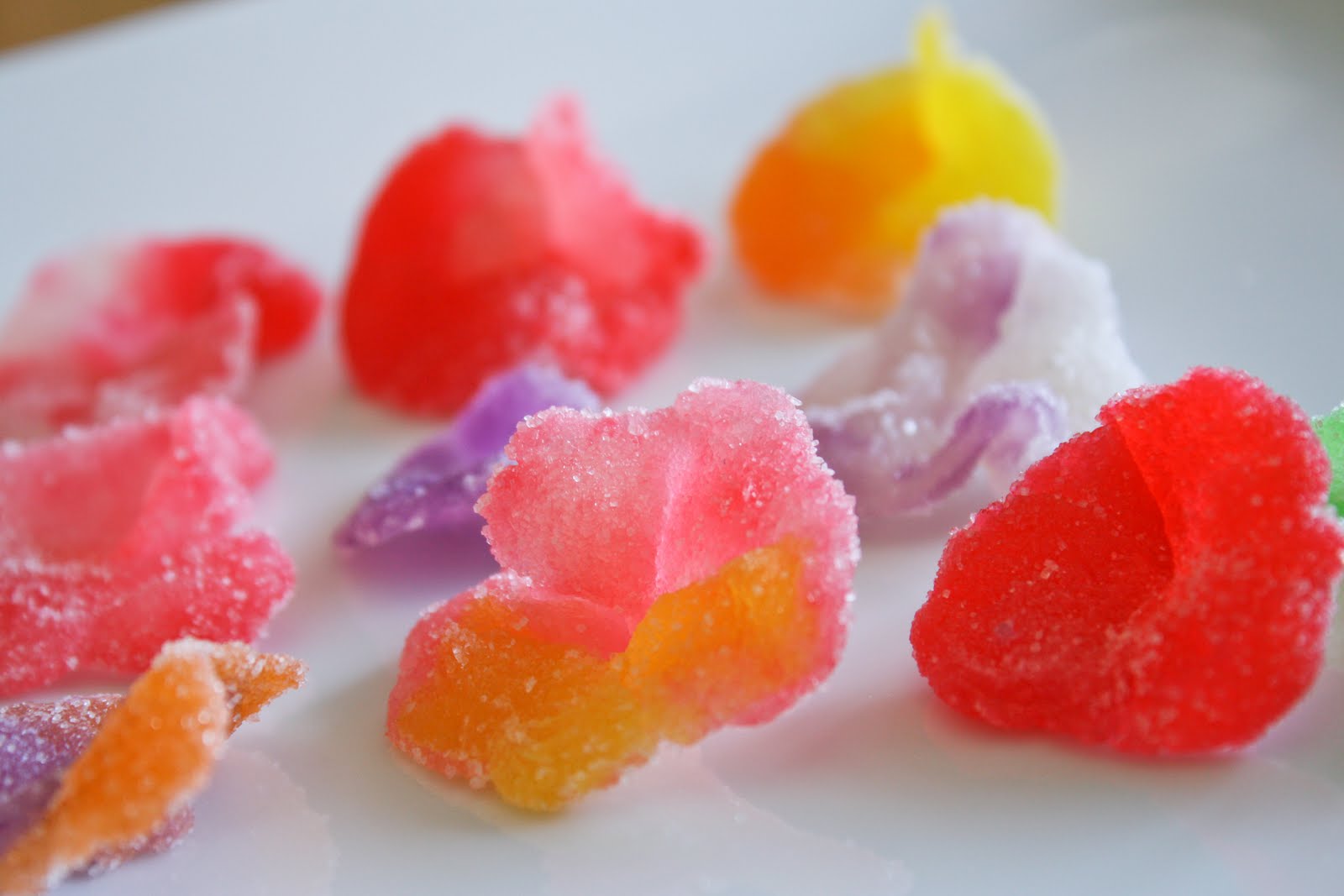 Angel Food Cake with Pink Grapefruit Cream Cheese Icing - Sprinkled ...