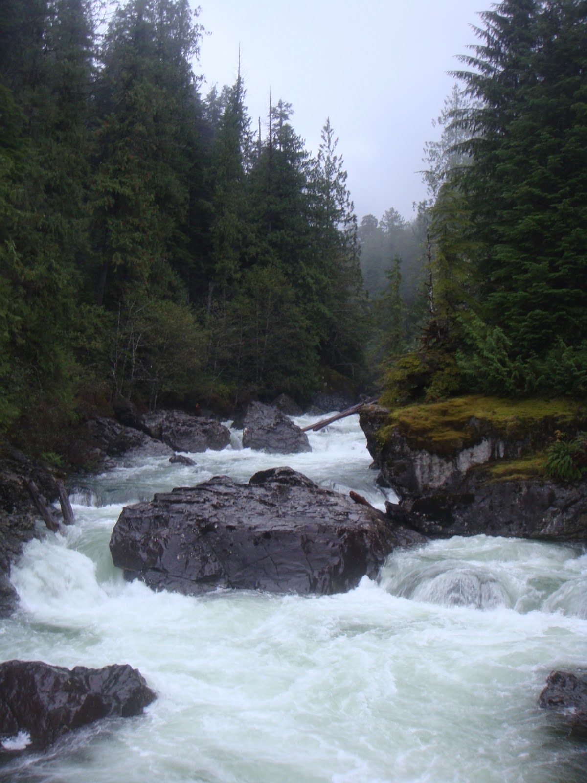 THE ROAD TAKEN : Toward Tahsis, Birthplace of British Columbia: Oct 12