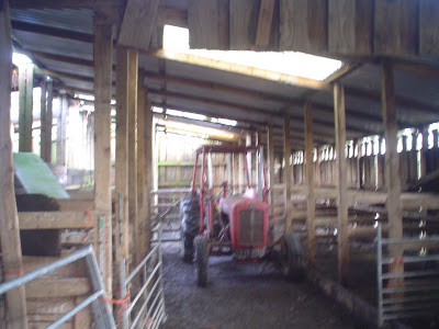 Life at Cote Bank Farm: Scanning our pregnant sheep