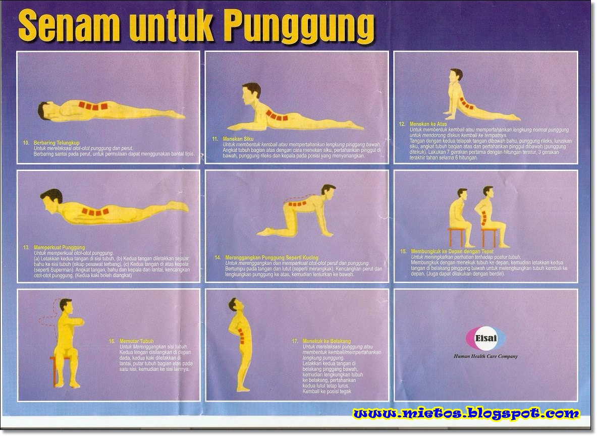 :: senaman untuk punggung menarik :: | mie
