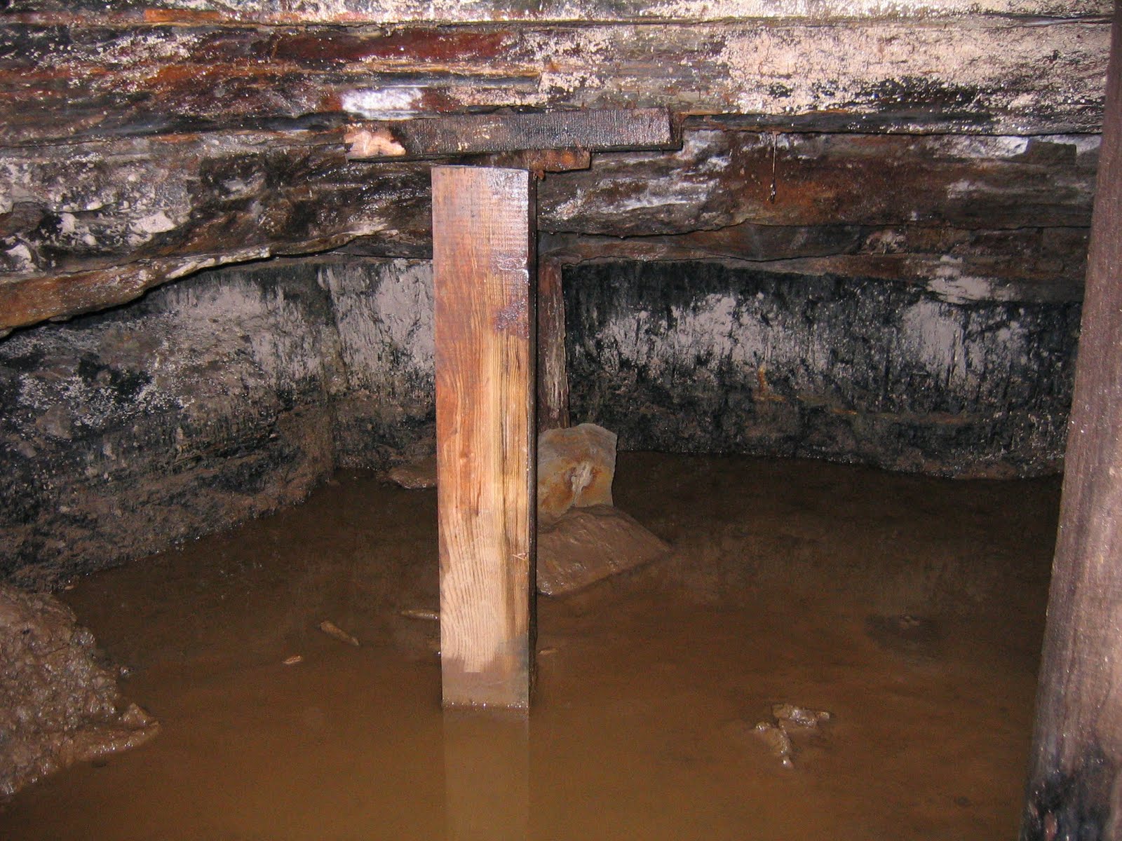 Chameleons in Pipestem: The Beckley Exhibition Coal Mine