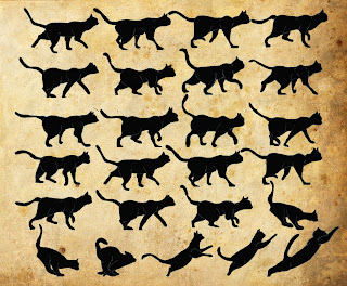 cat+cycle+storyboard1.jpg (320×264) | Jumping cat, Cat drawing, Small cat