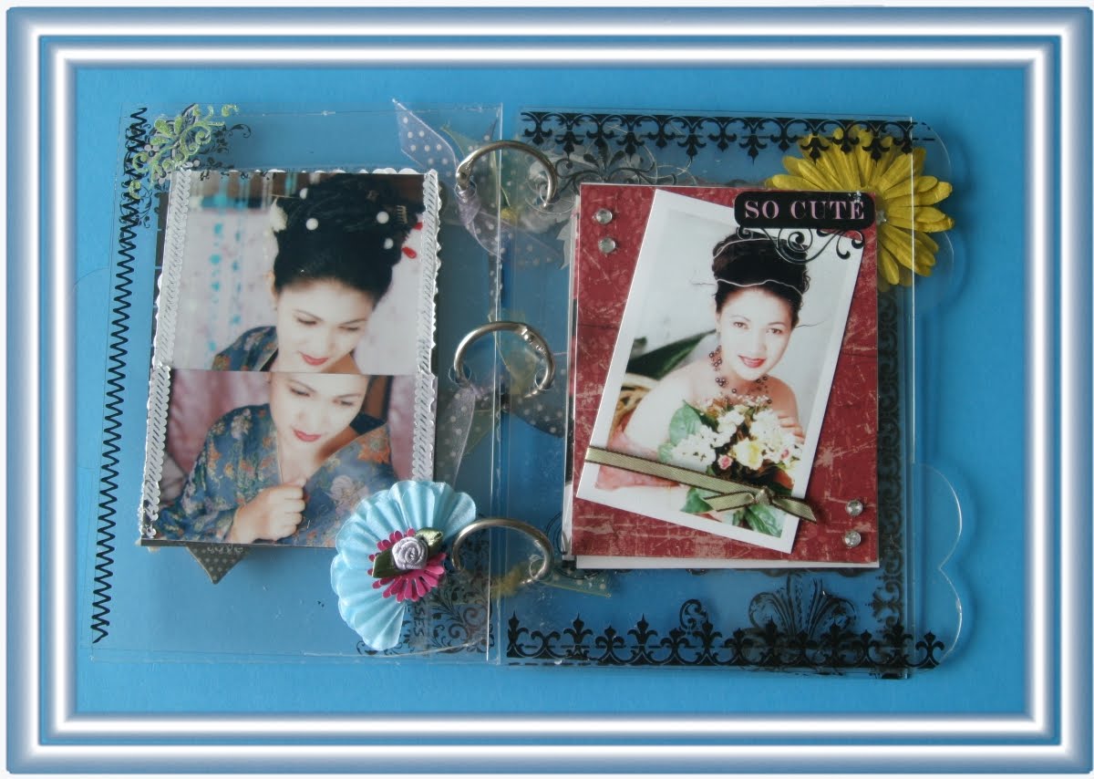 Jinky's Crafts & Designs: Acrylic Album