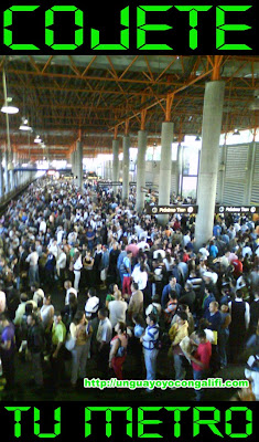 Un Guayoyo con Galifi