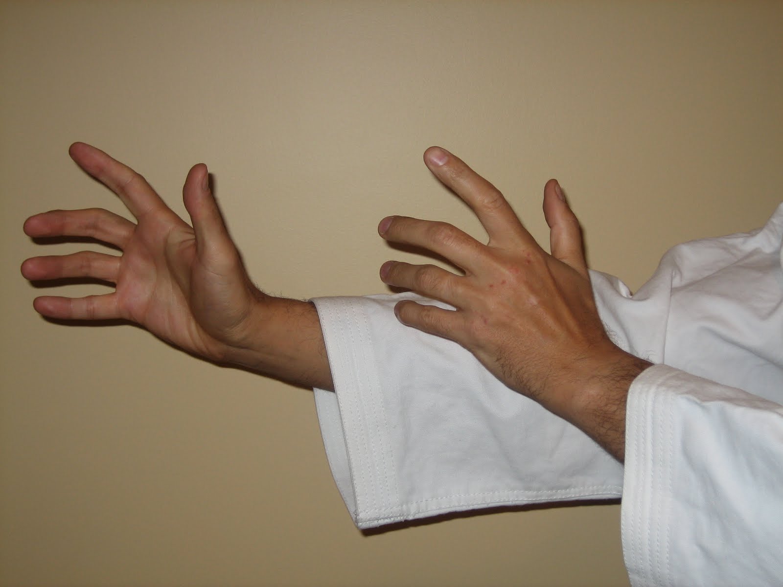 AIKIDO – Four Basic Principles of Mind and Body Unification | Aikido ...