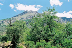 Aryan Jaff: The Kurdish language