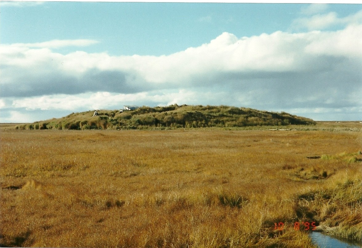 Let's Explore Alaska and get Connected!: Connections