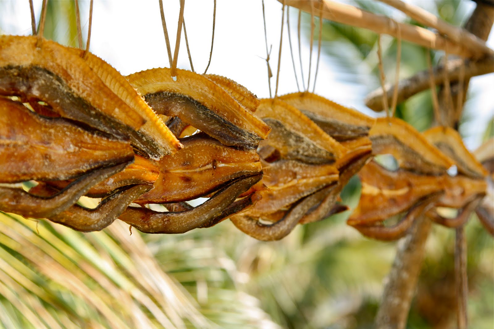 Asunta Rufino's Travels Thru Life...: BATANES - THE HIDDEN PARADISE ...