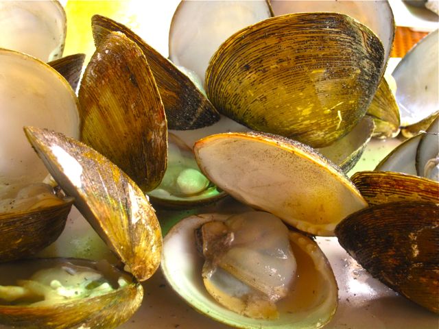 Asunta Rufino's Travels Thru Life...: BORACAY Escapade Part 3 Where to DINE