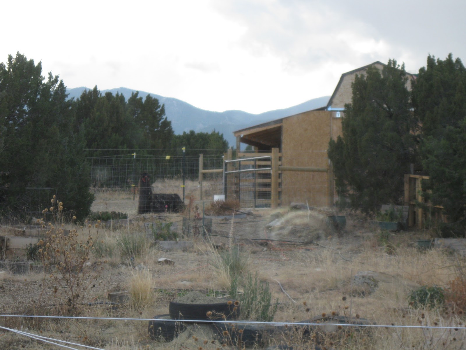 One Little Farm...striving to make a difference: Farm with a view