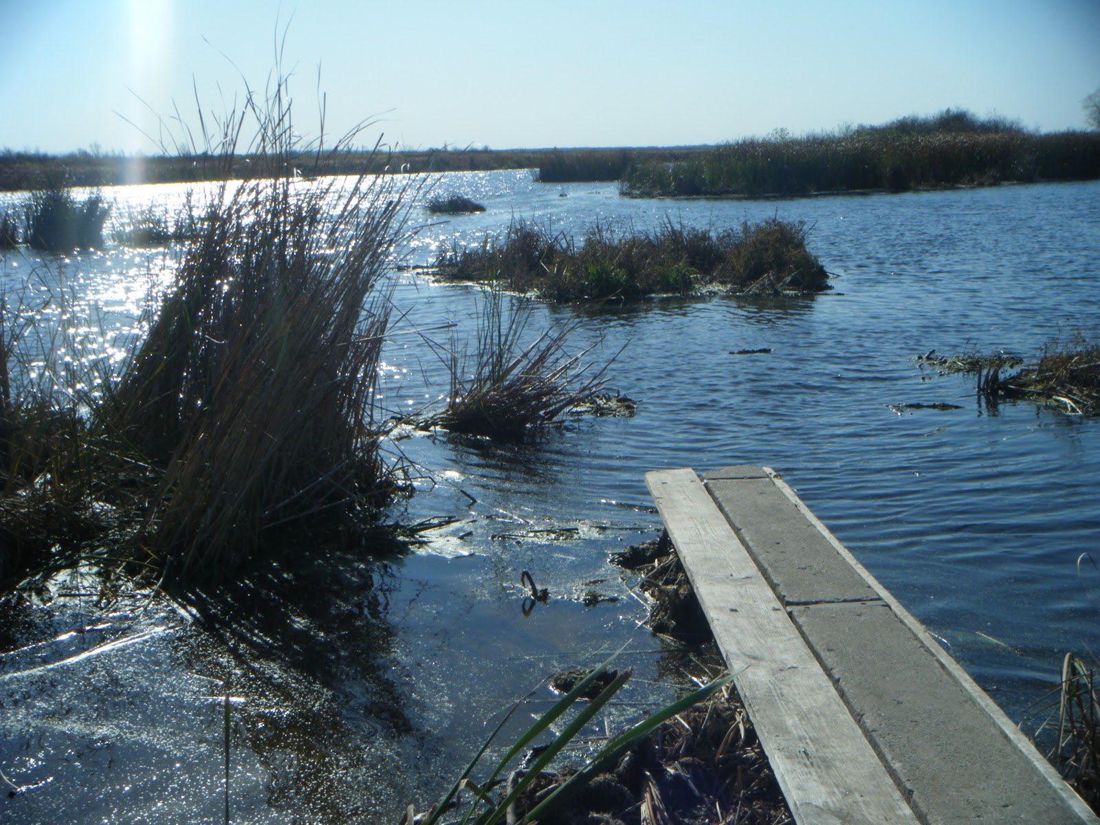 Onion River Exploration Project: Sheboygan Marsh