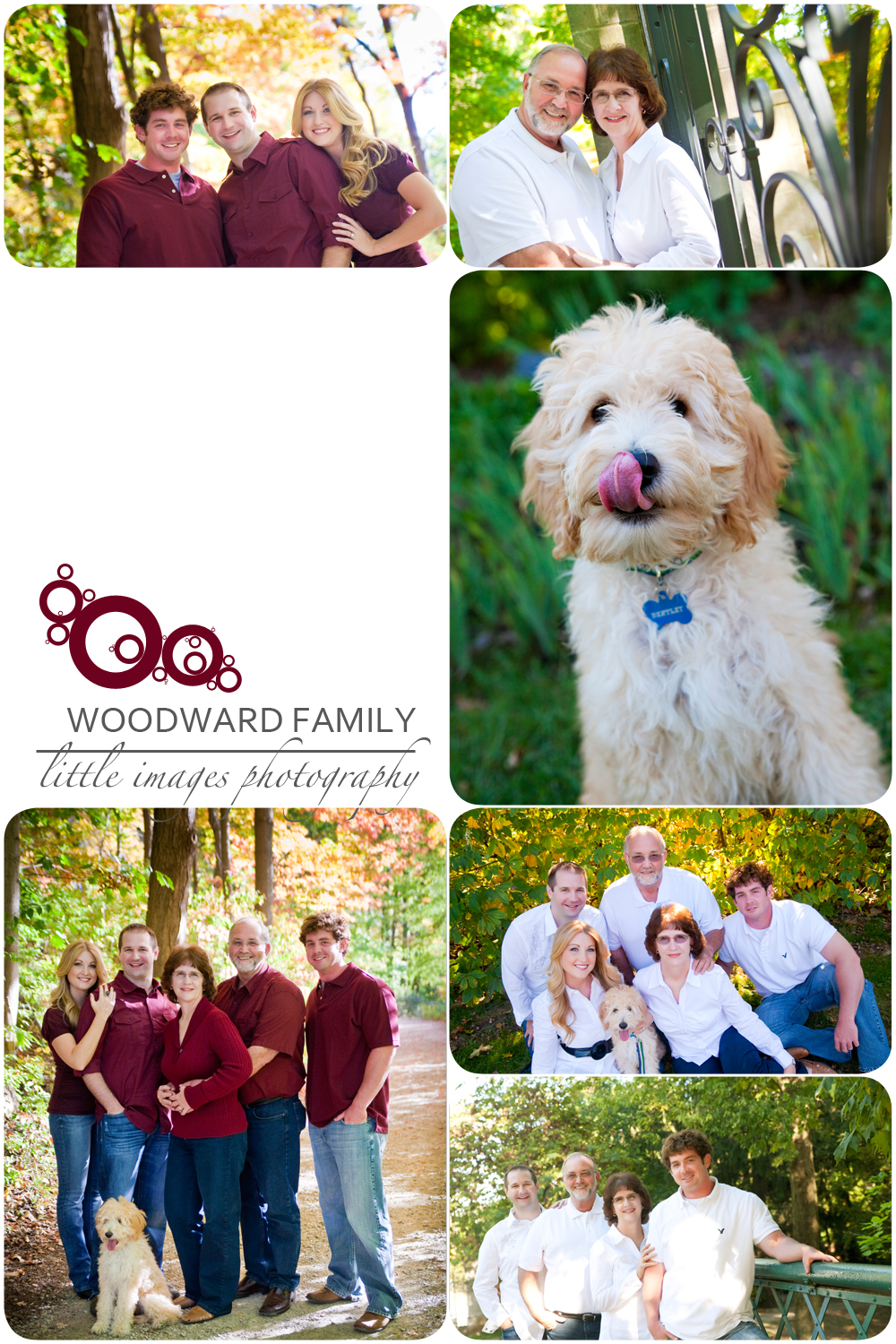 Little Images Photography