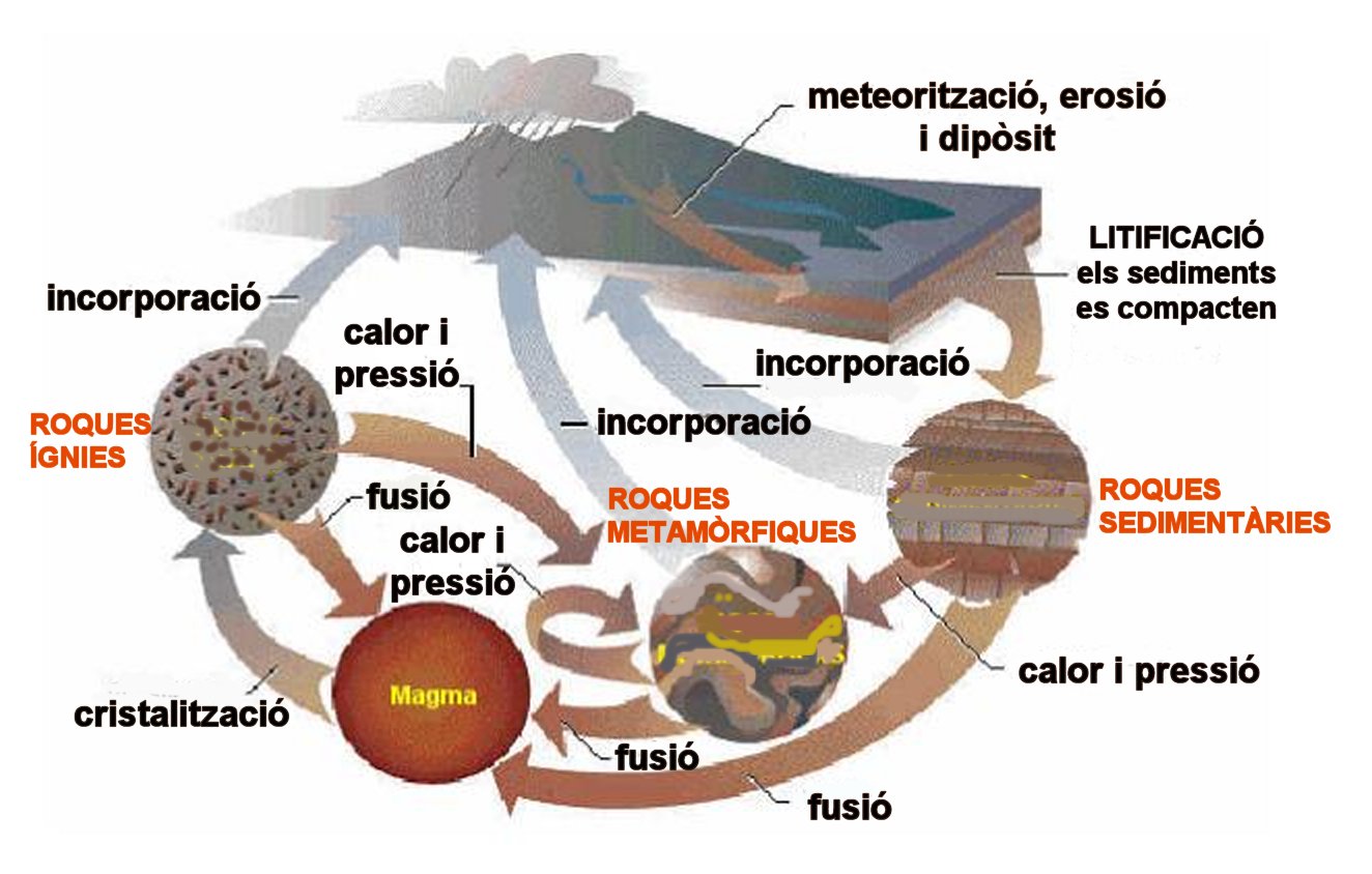 - NATURALS 2ºESO -: CICLE DE LES ROQUES
