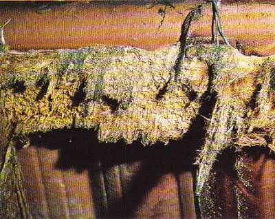 Inspect It: Description of Delignification