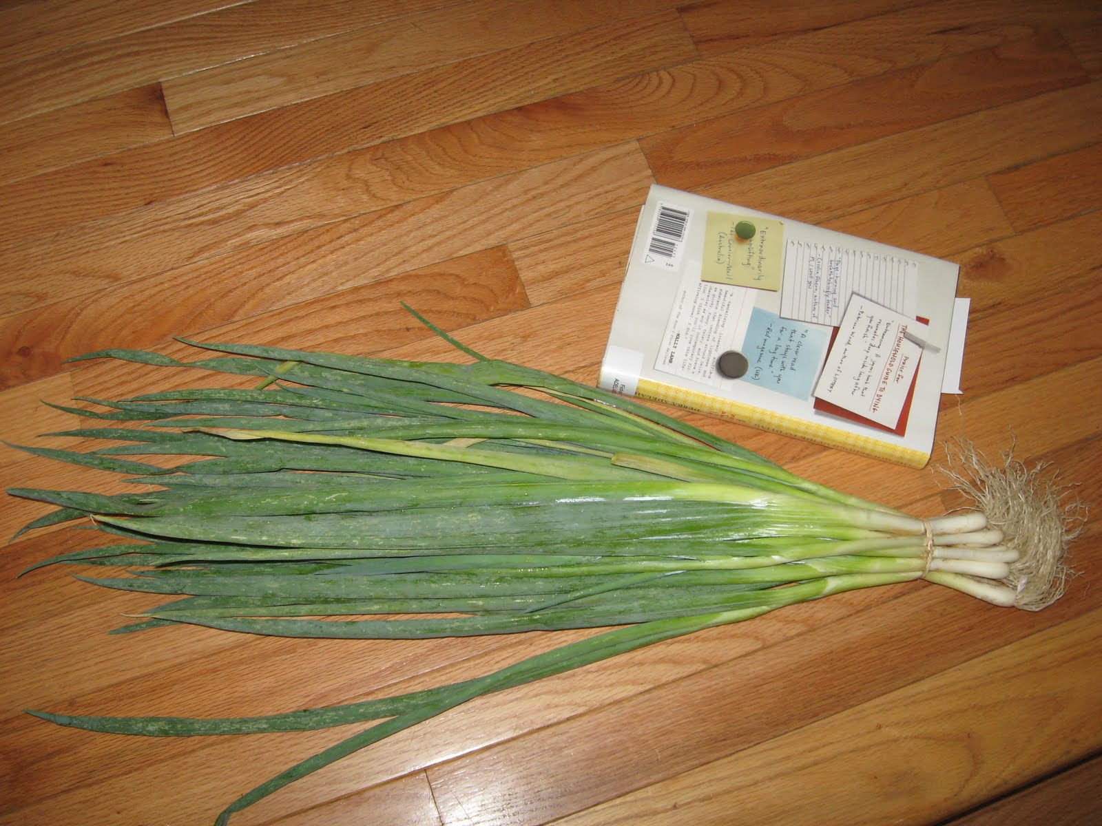 A Homemade Kitchen: Giant Scallions