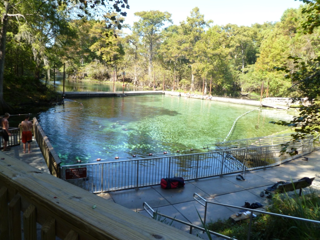 In the Direction of Our Dreams: Fanning Springs