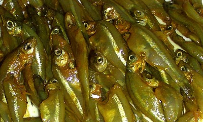 COOKING AND RECIPES: MOUROLA MACHHER JHAL WITH JHUMKO BEGUN ( Small ...