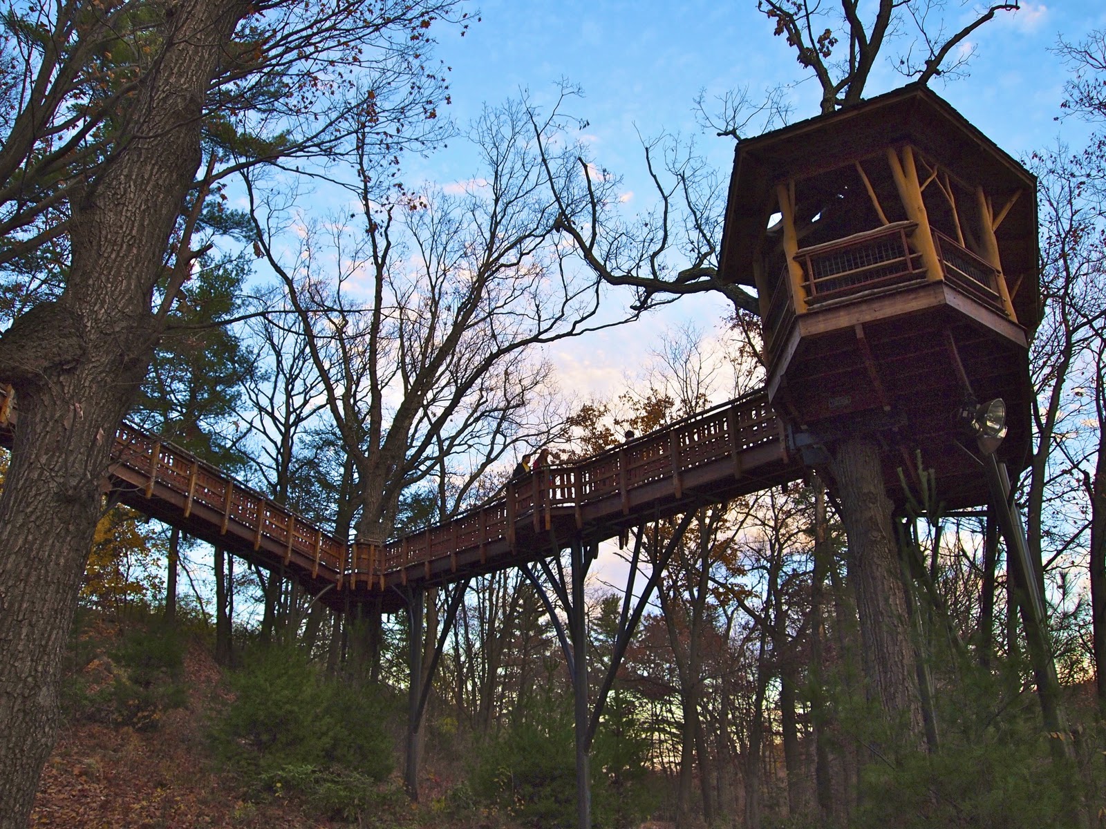 Scranton Daily Photo: David Wenzel Treehouse View #2