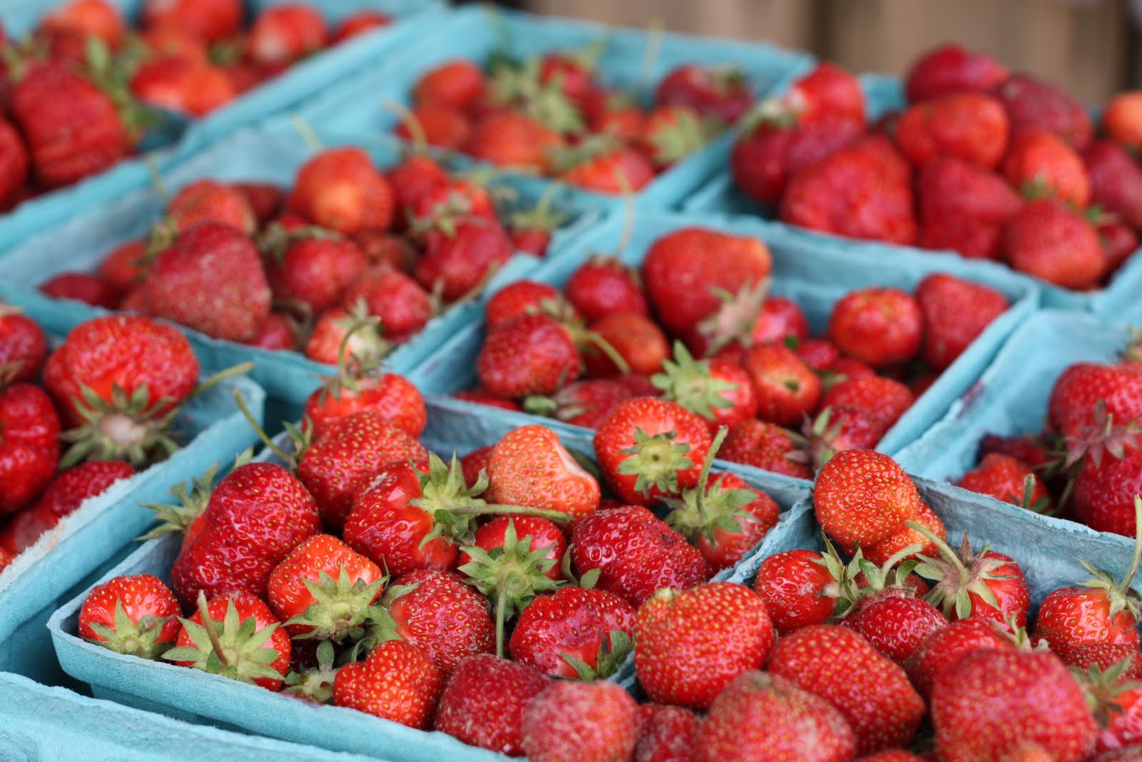 Fresh Local and Best: Fresh from New York Farmers' Market June ...