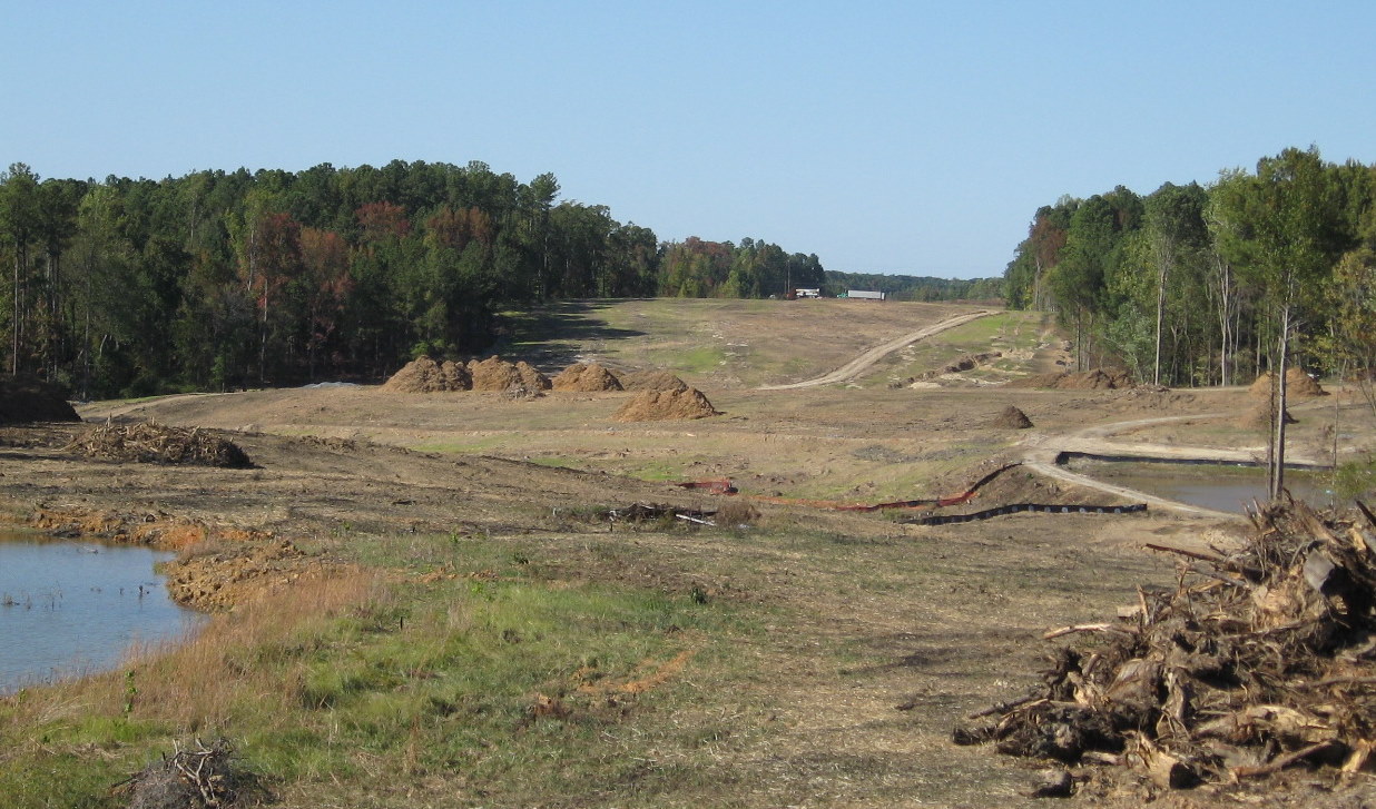 Tri-Ex Progress Photos