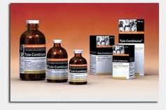 En que consiste la regencia en farmacia