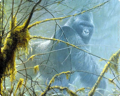 Wild Life In Forest: wild animals in africa