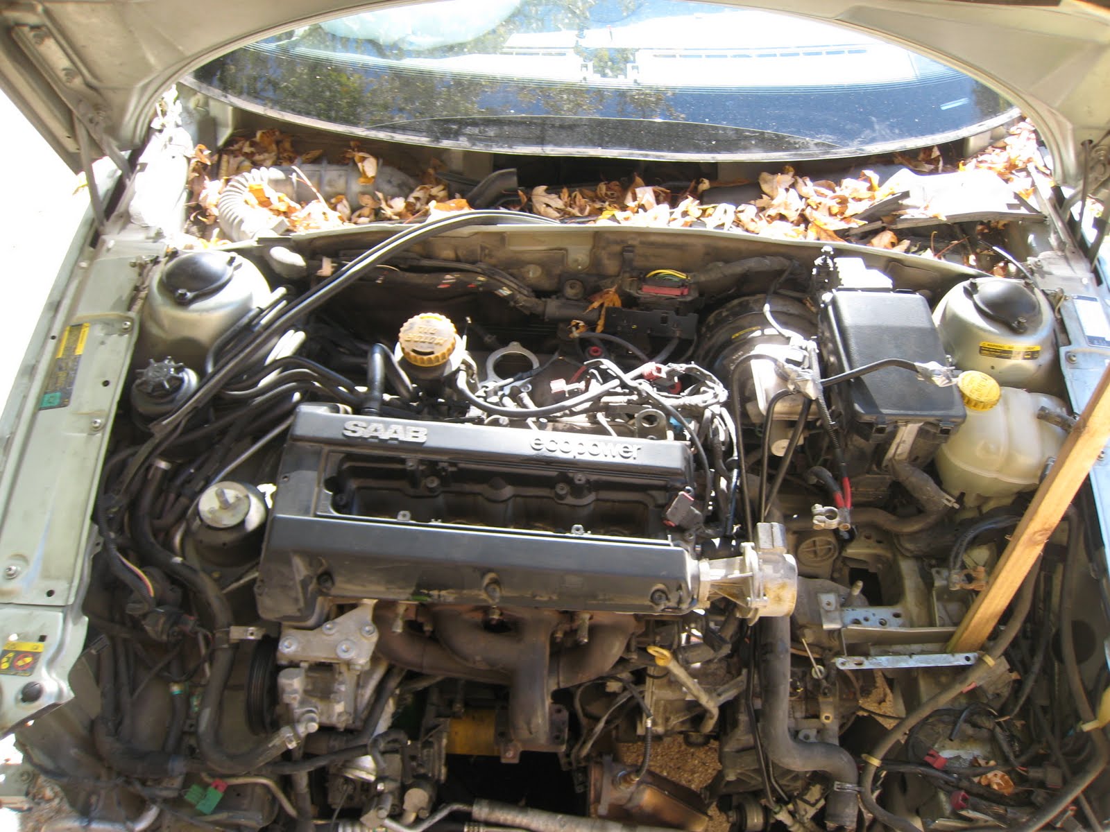 Engine Swap | SaabCentral Forums