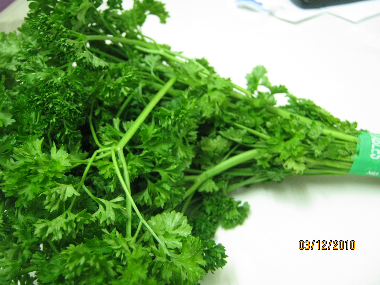 Seri Pelangi: Daun Pasley