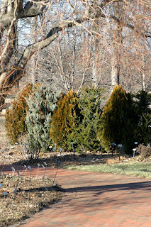 Powell Gardens' Blog: The Perennial Garden's Winter Bones
